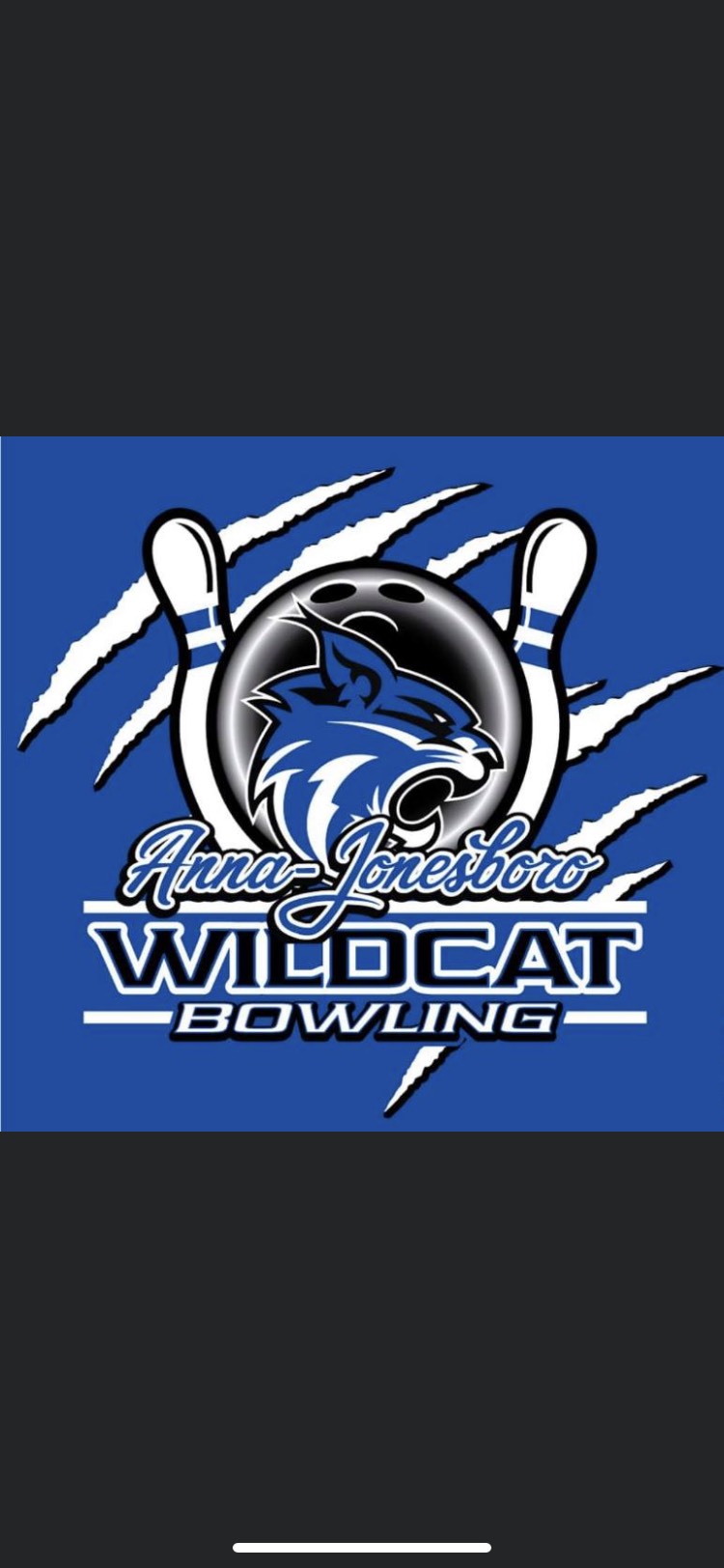 IMG_0406 – Anna-Jonesboro Community High School