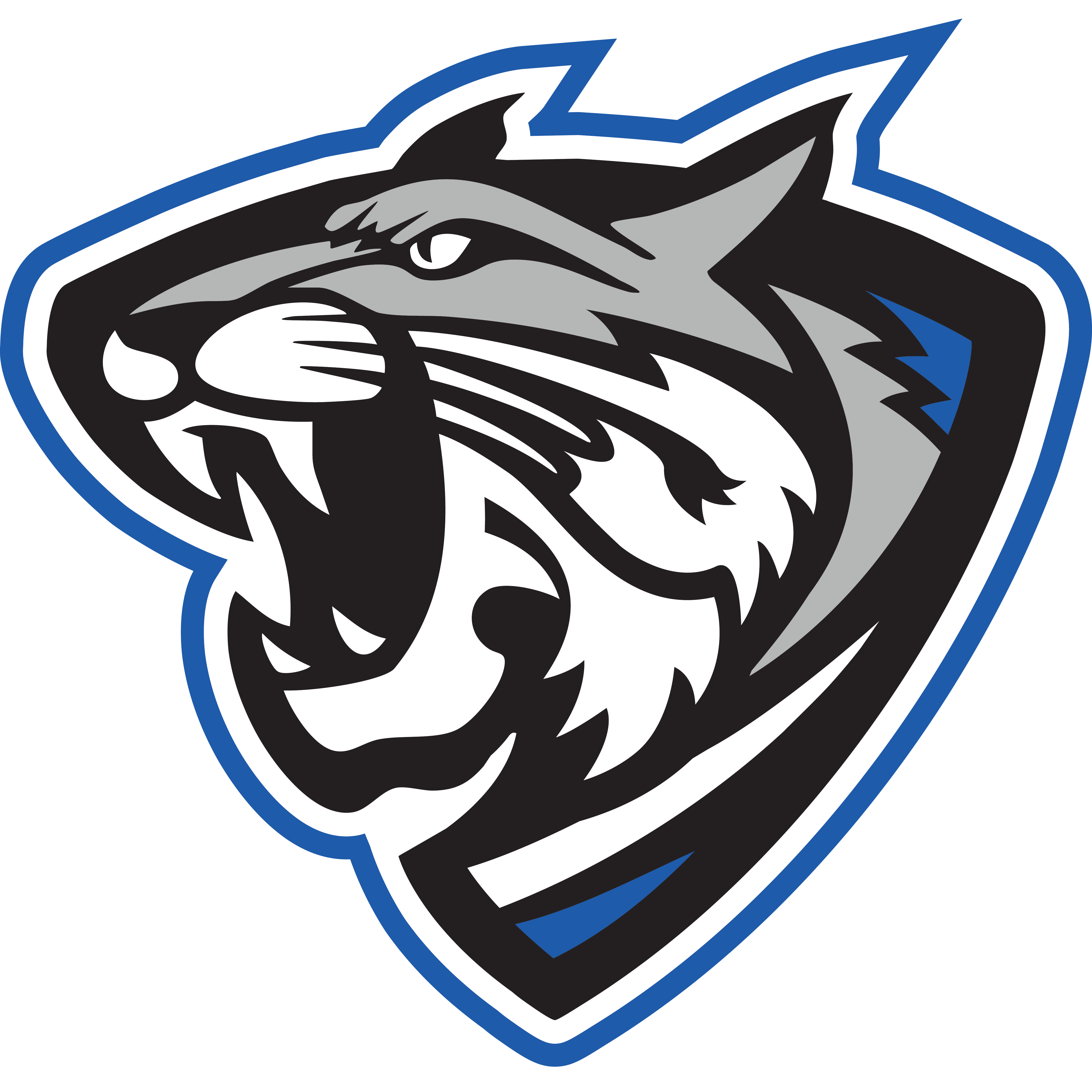 Wildcat Logo – Wildcat Shield – Full Color – Anna-Jonesboro Community ...
